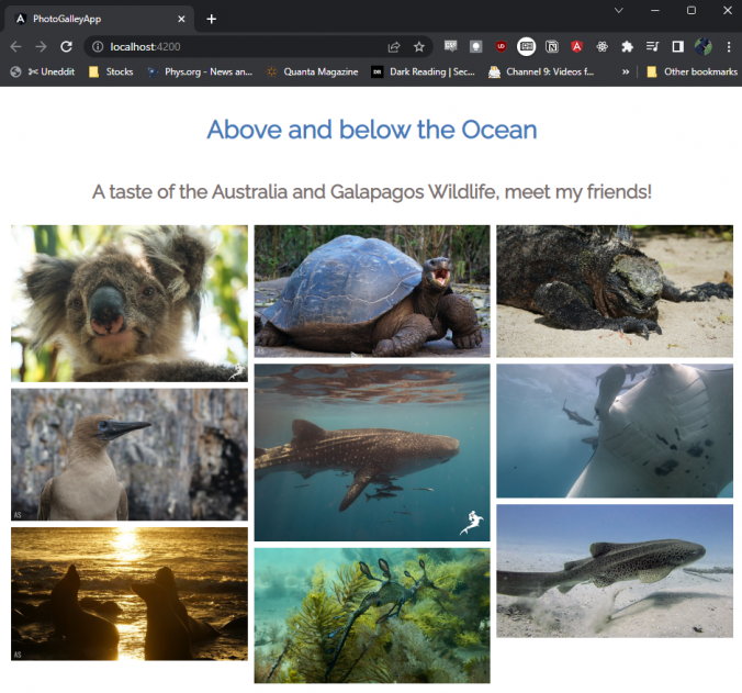 Standalone Components in Angular 15 – blog.immatt